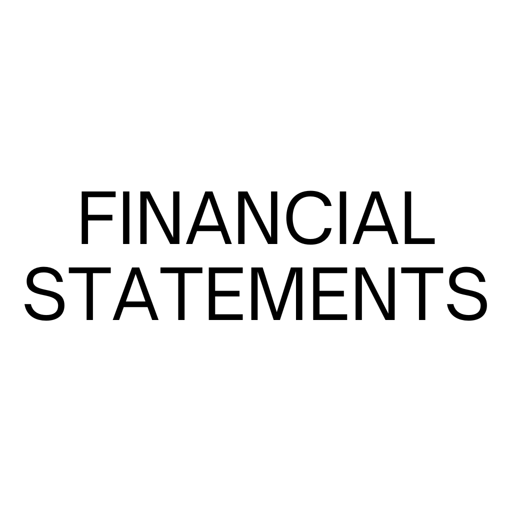 Financial Statements – Designs By Blue Star