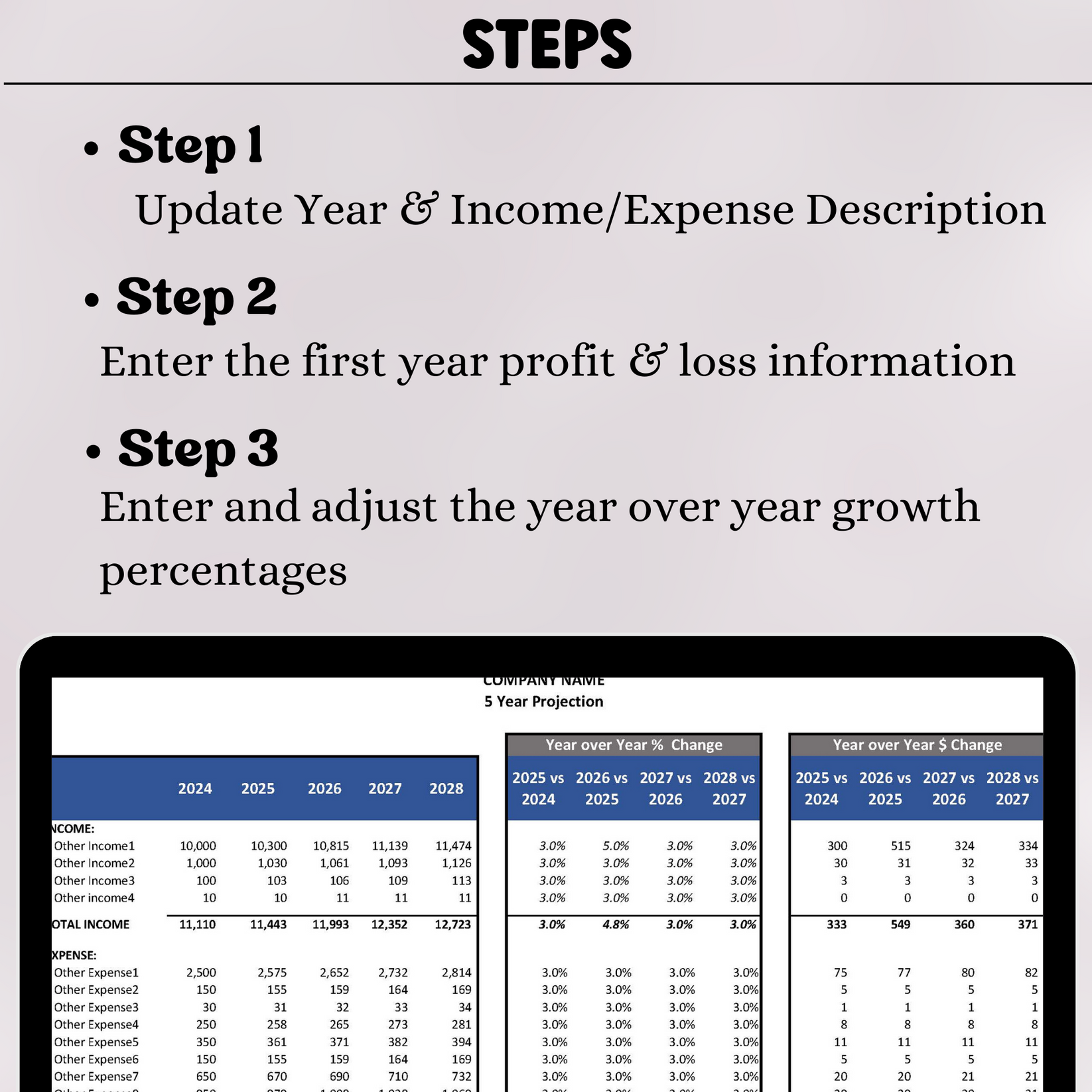 5 Year Projection P&L (Excel) – Designs By Blue Star
