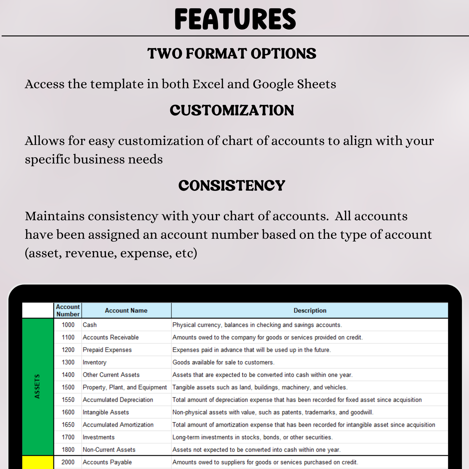 Chart of Accounts (Excel & Google Sheets) – Designs By Blue Star