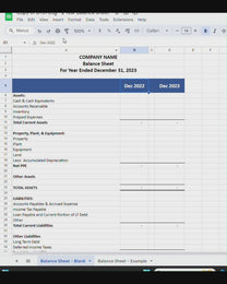 Balance Sheet with Prior Year (Google Sheets) – Designs By Blue Star